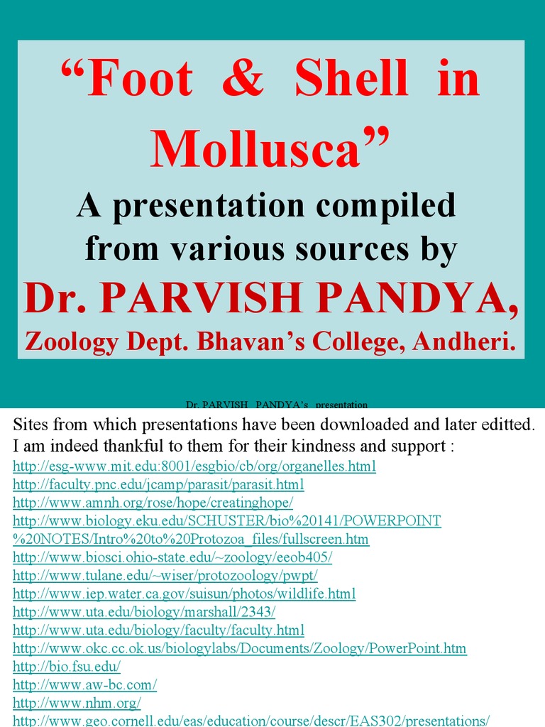 12 Mollusca - Foot and Shell | PDF | Mollusca | Bivalvia