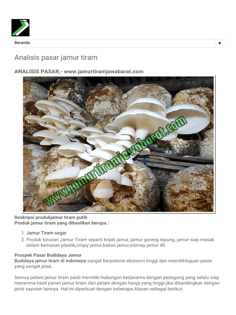 Analisis Pasar Jamur Tiram | PDF