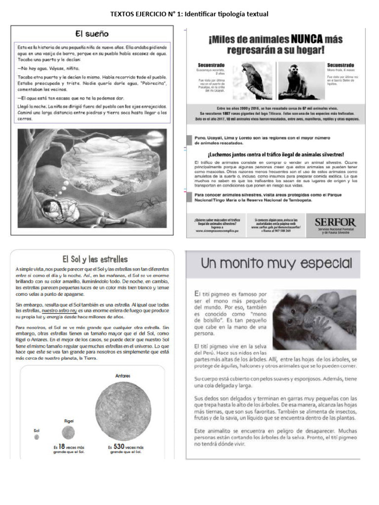 Textos 1er Ejercicio | PDF