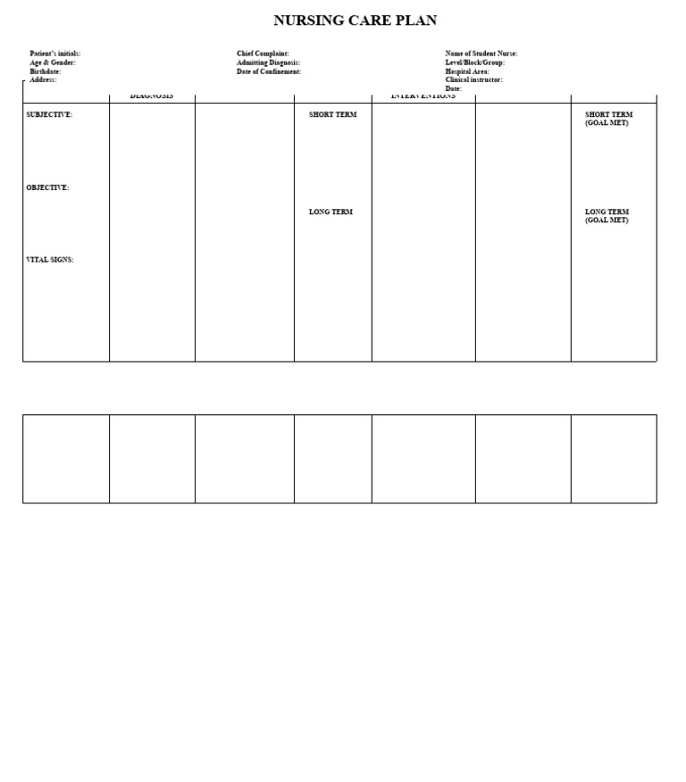 Nursing Care Plan Format Guide | PDF