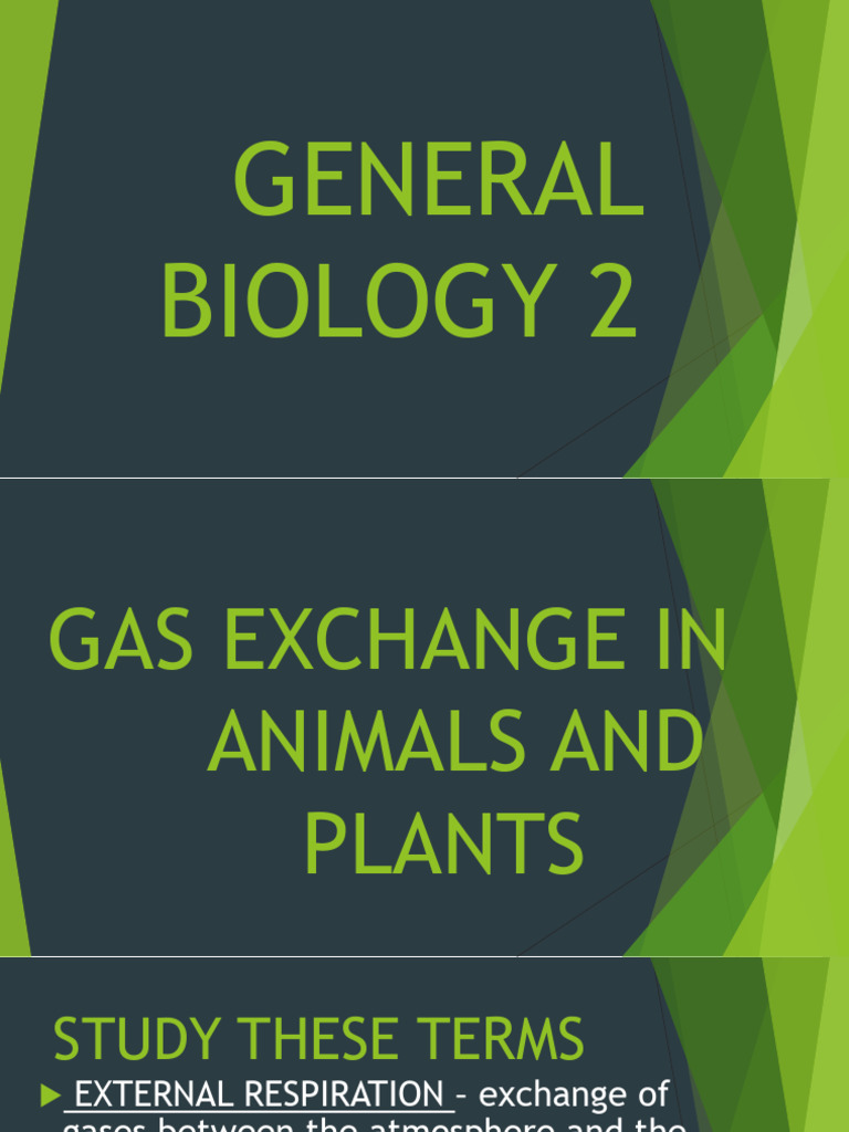 General Biology 2 | PDF | Respiratory System | Respiratory Tract
