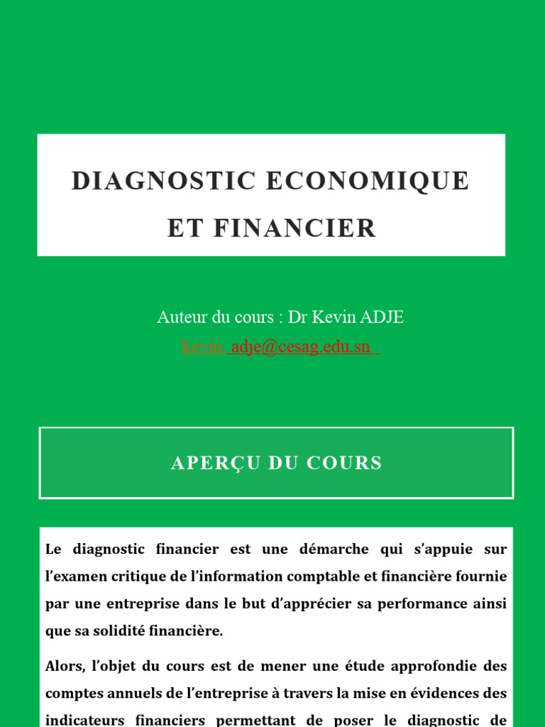 Diagnostic Financier et Économique | PDF | Revenu brut | Bilan comptable