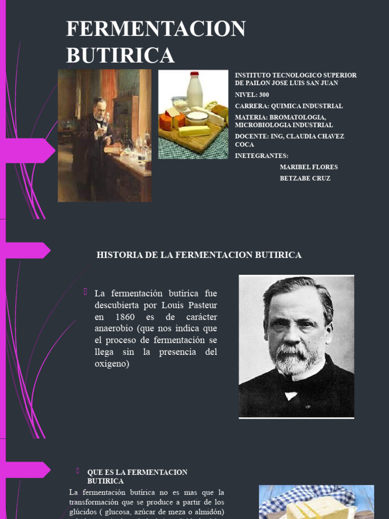 FERMENTACION - BUTIRICA Margob | PDF | Fermentación | Glucosa