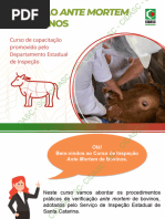 Como Emitir Guia de Trânsito Animal (GTA) | PDF | Recibo | Tráfego