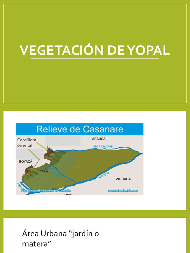 Vegetación de Yopal | PDF