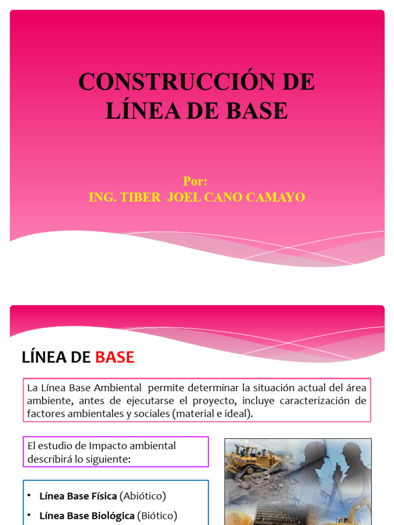 Linea de Base EIA | PDF | Suelo | Entorno natural