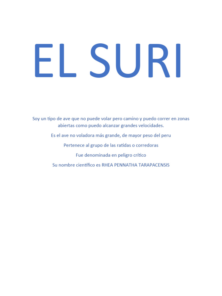 El Suri | PDF | Aves | Ornitología