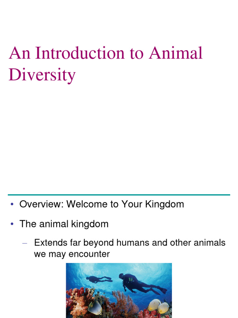 Animal Diversity | PDF | Developmental Biology | Reproduction