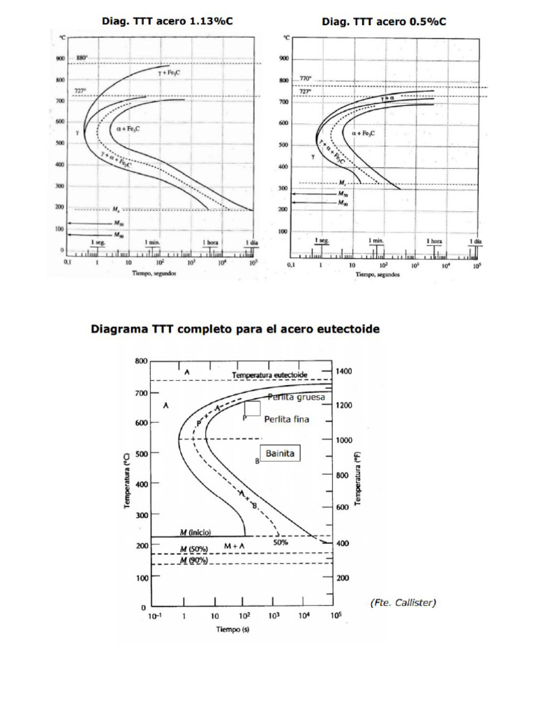 GUIA EXPERIMENTAL CURVAS TTT | PDF