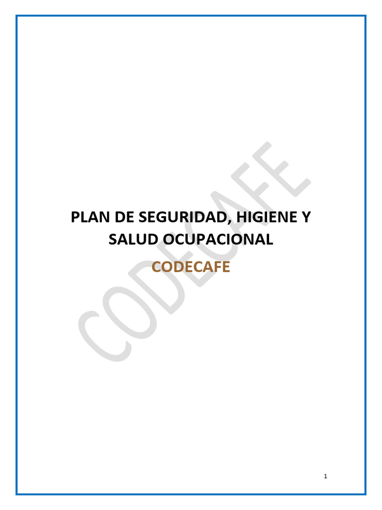 Plan de Seguridad e Higiene | Descargar gratis PDF | Primeros auxilios | Seguridad y salud ...