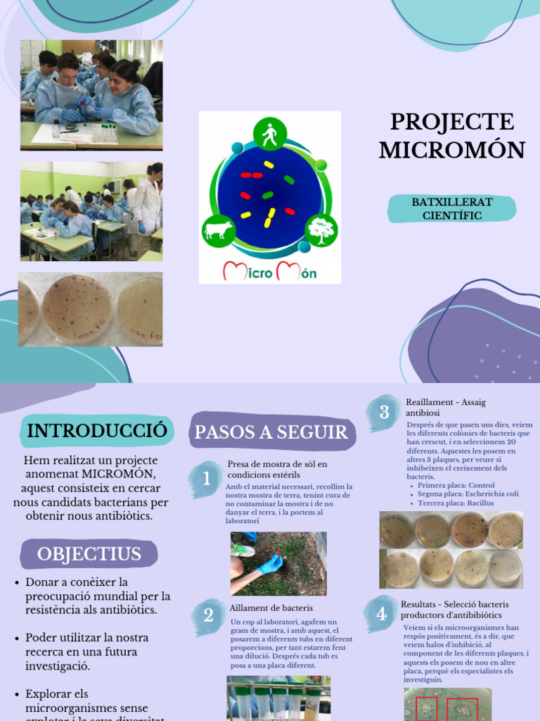 PROJECTE MICROMÓN Definitiu | PDF