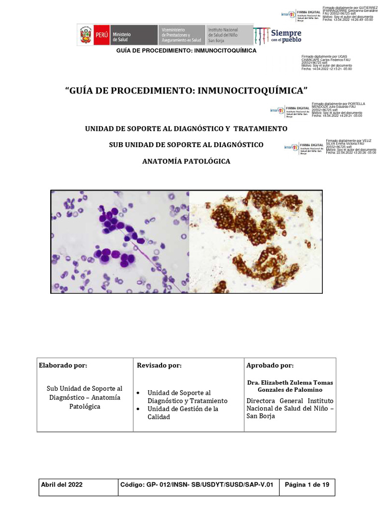 RD #000099-2022-Dg-Insnsb GP Inmunocitoquimica-Anat Patolo. | PDF | Anticuerpo | Antígeno