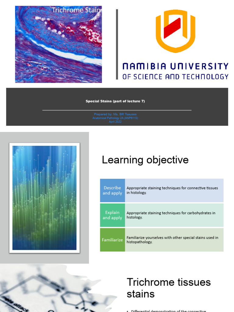 Special Stains | PDF | Staining | Fixation (Histology)
