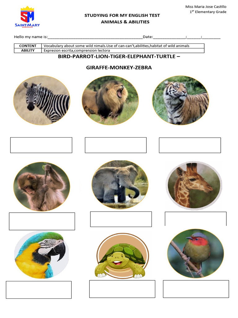Animals & Abilities w6 | PDF