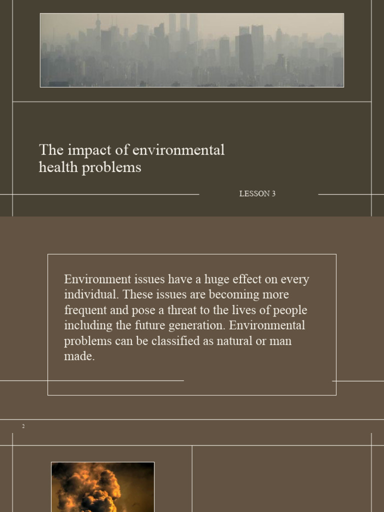 The Impact of Environmental Health Problems | PDF | Deforestation ...