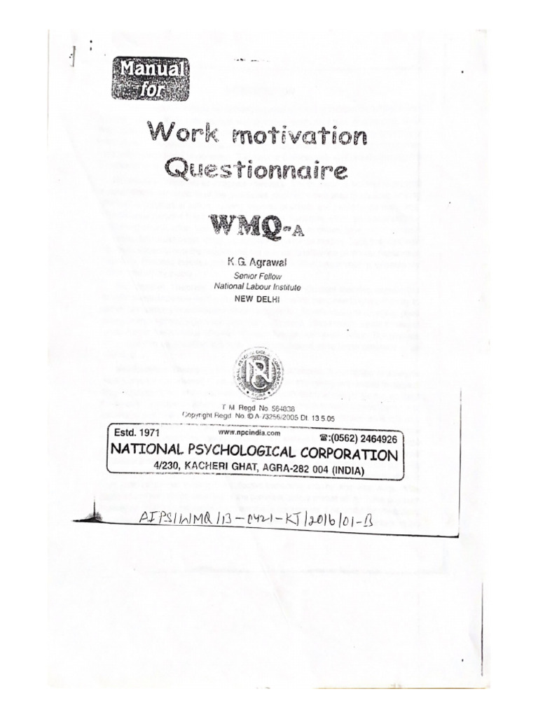 Work Motivation Questionnaire | PDF