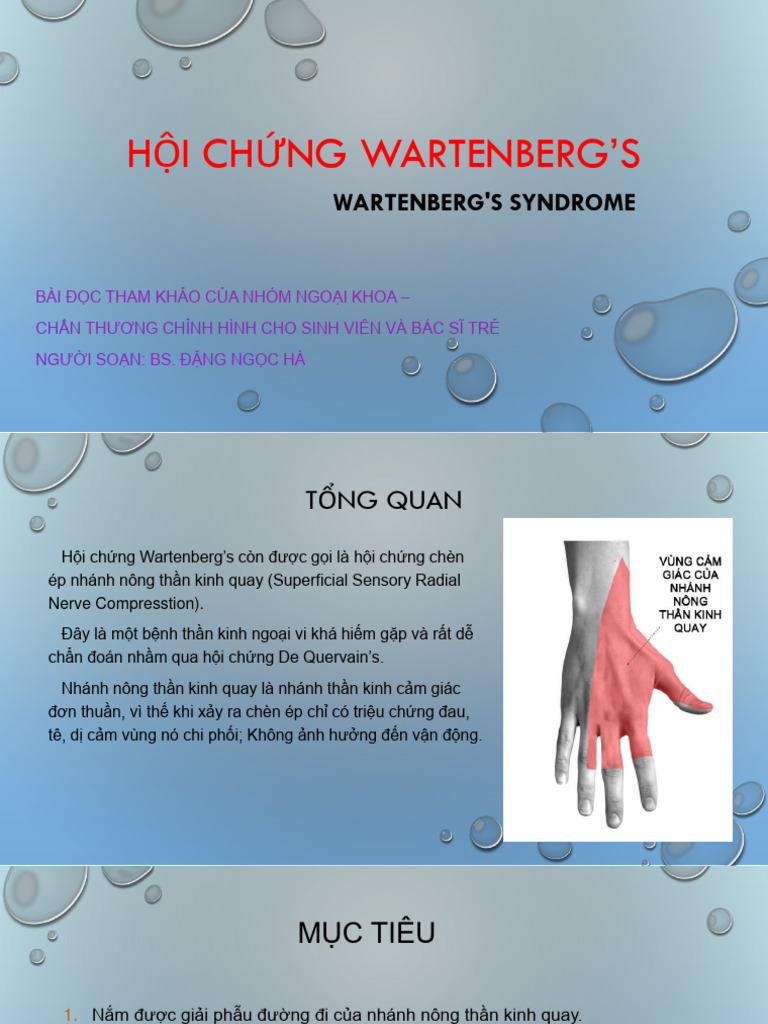 H I CH NG Wartenberg's | PDF
