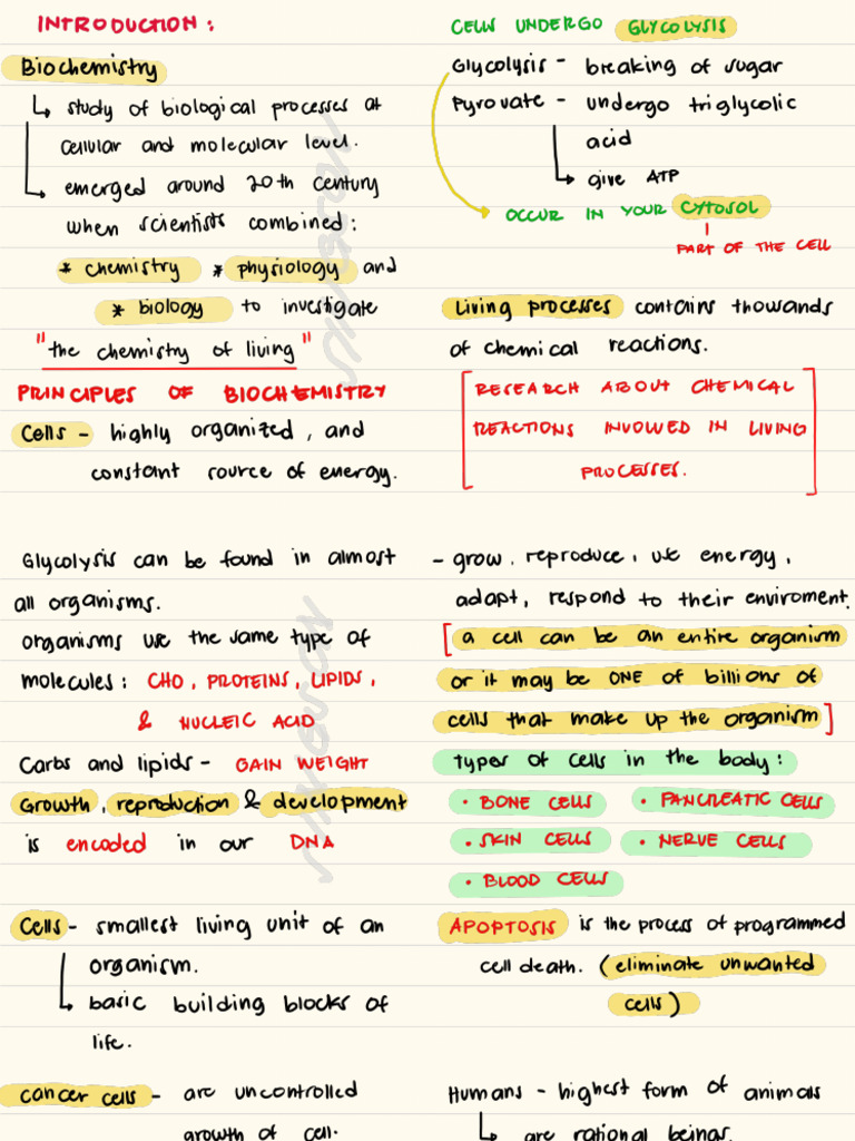 Prelim Biochem 2b | PDF