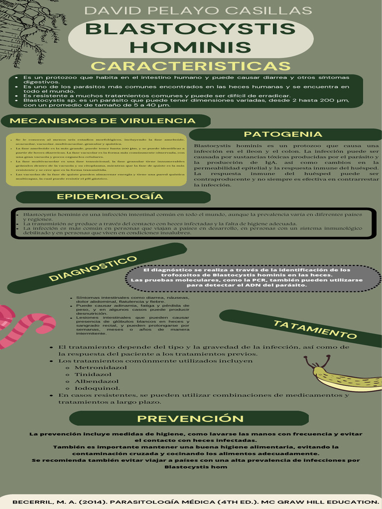 Infografía de Blastocystis hominis | PDF | Diarrea | Heces