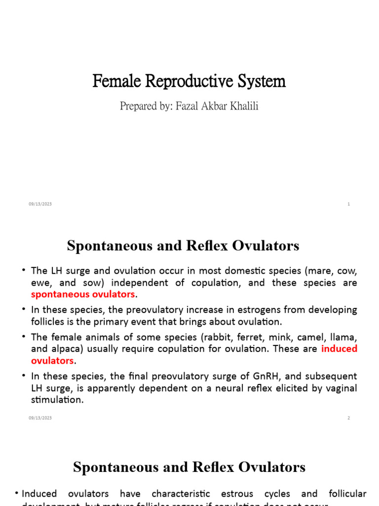 Spontaneous and Re Ex Ovulators | PDF | Menstrual Cycle | Animal Anatomy