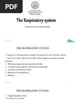 The Respiratory System of Cattle | PDF | Lung | Respiratory Tract