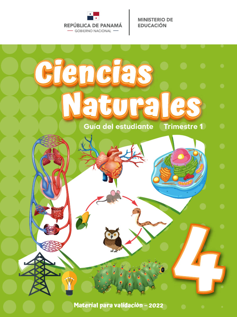 Guía Estudiante Ciencias Naturales 4to Grado 2022,1er Trim | PDF | Vena | Sangre