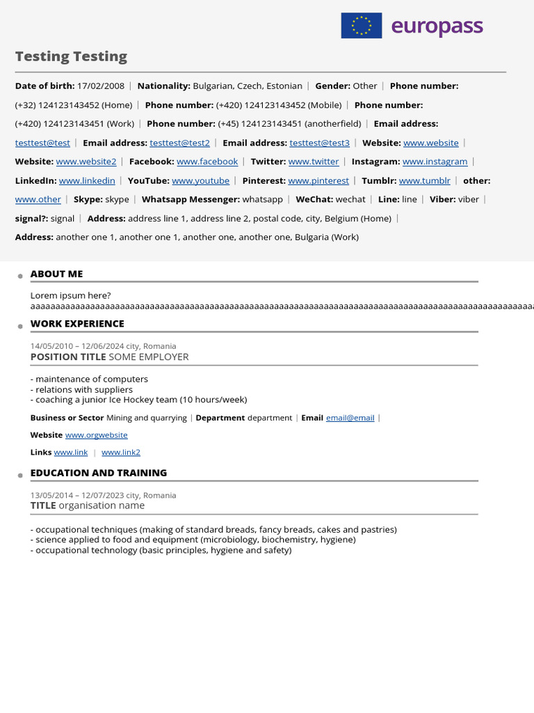 CV - Testing Testing-4wegWFwf | PDF | Engineering | Social Sciences