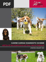 Calculate Your Dog's VHS Score | PDF