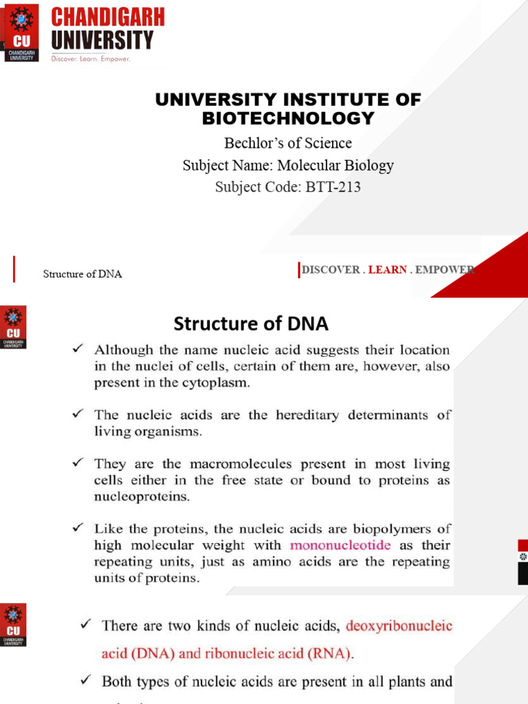 Structure of DNA 1 | PDF