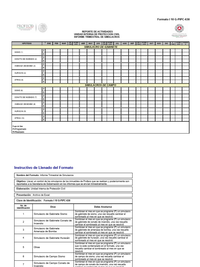 Formato I 10 G-PIPC-630 | PDF