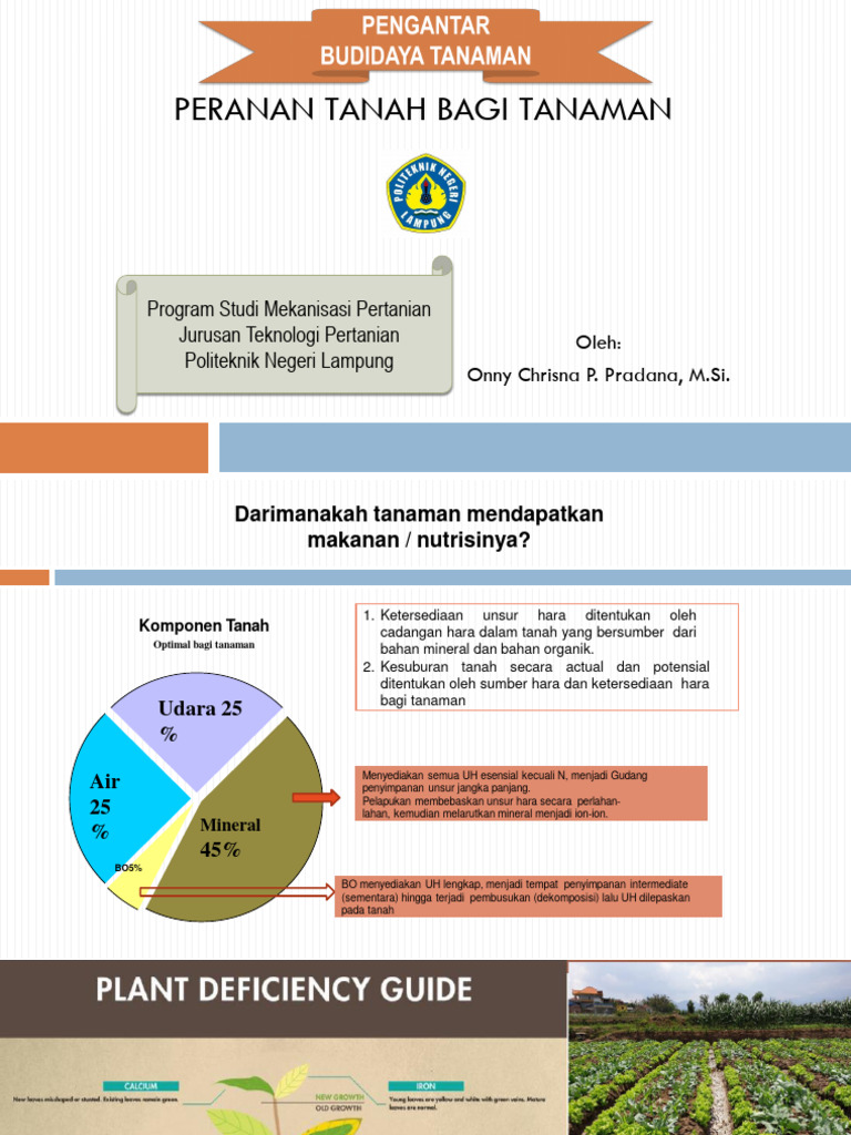 M3-Peranan Tanah Bagi Tanaman | PDF