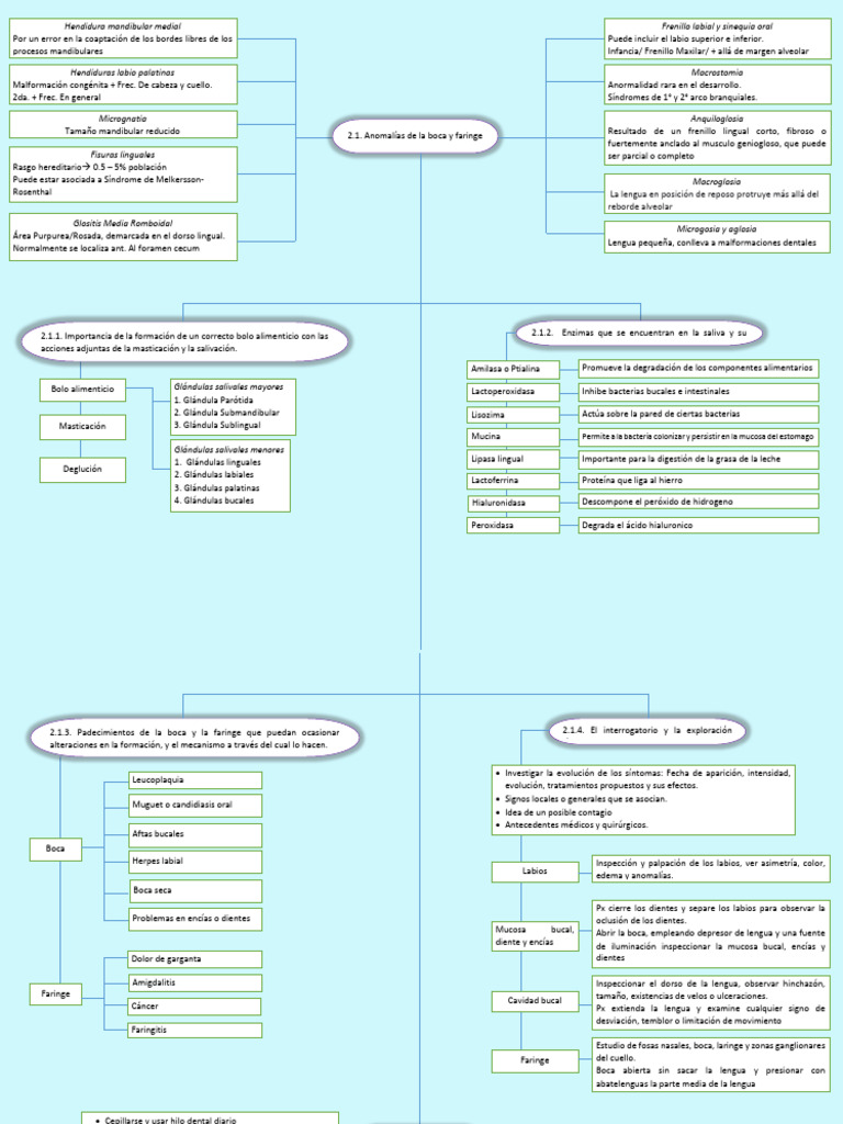 Gastro-Tema3 - KRM | PDF | Boca | Saliva