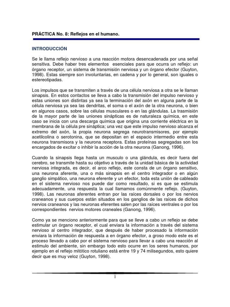 Reflejos en El Humano | PDF | Sinapsis | Neurona