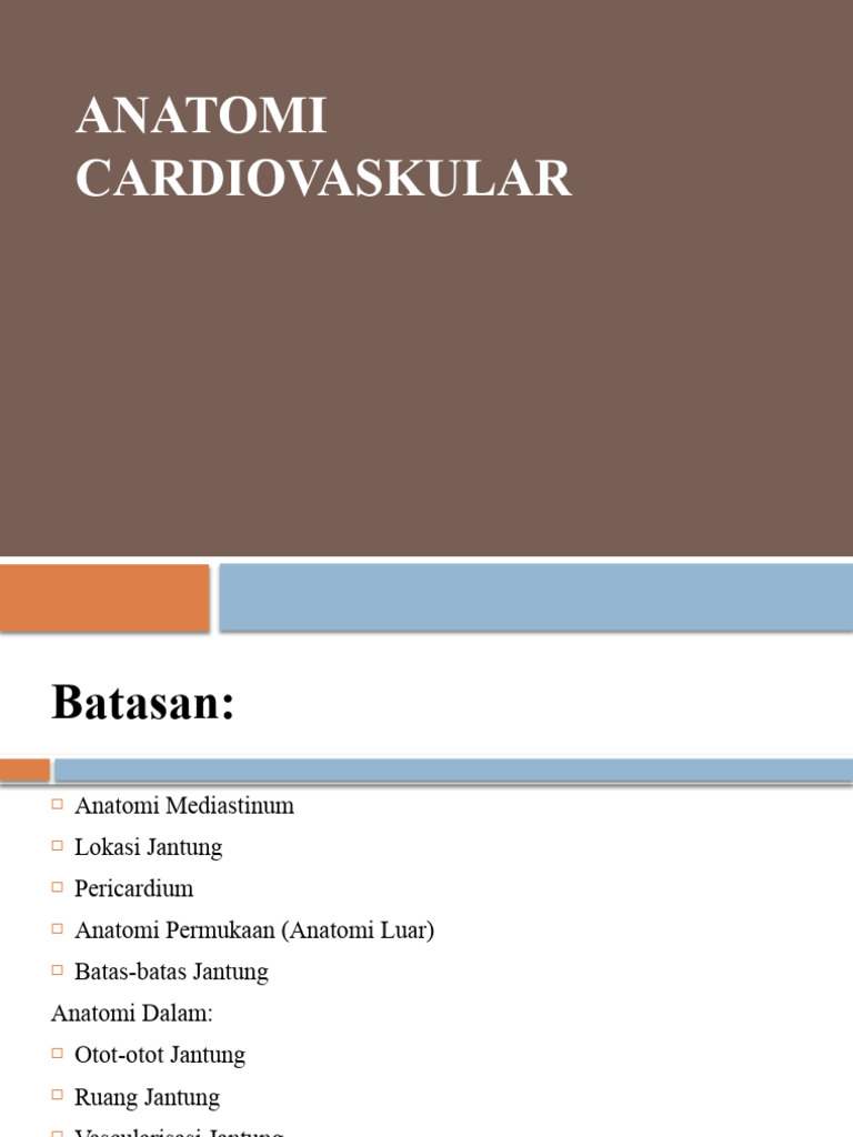 Anatomi Cardiovaskular | PDF | Seni | Sains & Matematika