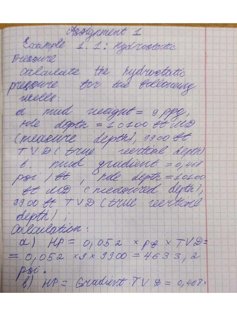 Toleugali Bek Assignment 1. | PDF