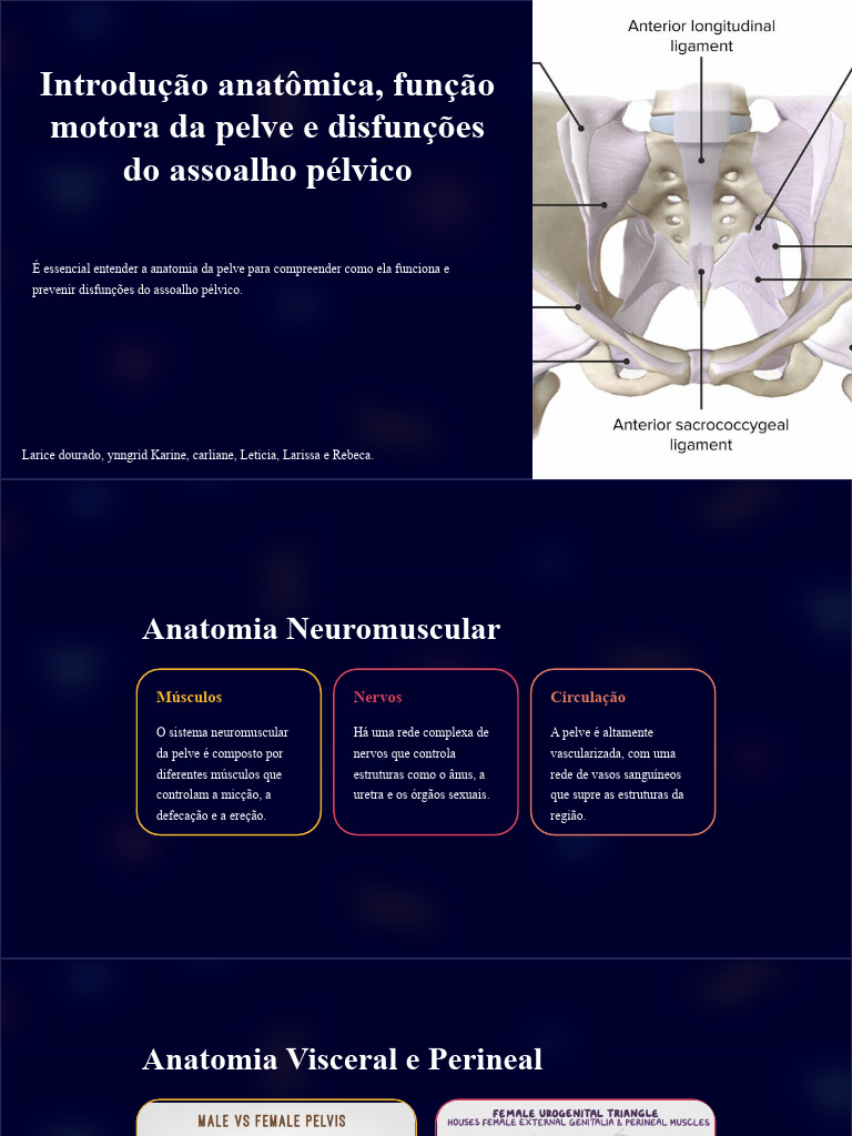 Descubra A Anatomia Complexa e A Funcao Motora Da Pelve | PDF | Pélvis | Anatomia