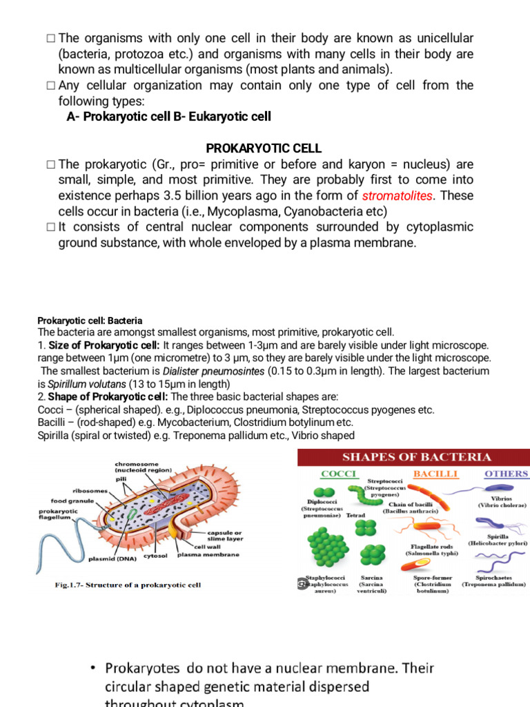 Cell Lecture 3 Pro and Euk Difference | PDF | Bacteria | Cell (Biology)