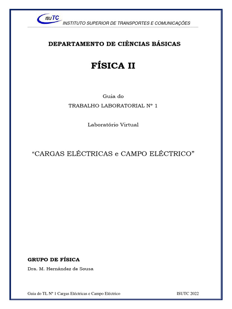 Cargas Elétricas e Campo Elétrico: Guia Laboratorial | PDF | Campo ...