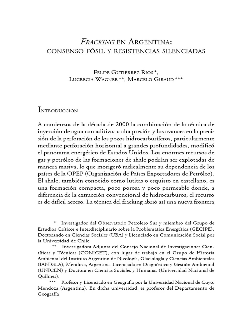 Fracking en Argentina: Consenso Fósil y Resistencias Silenciadas | PDF ...
