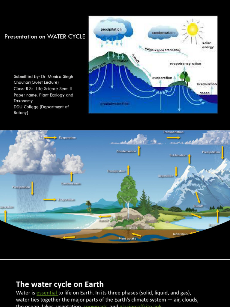 Water Cycle & Climate Impact | PDF