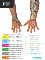 Peripheral IV Catheters Chart | PDF | Intravenous Therapy | Medical ...