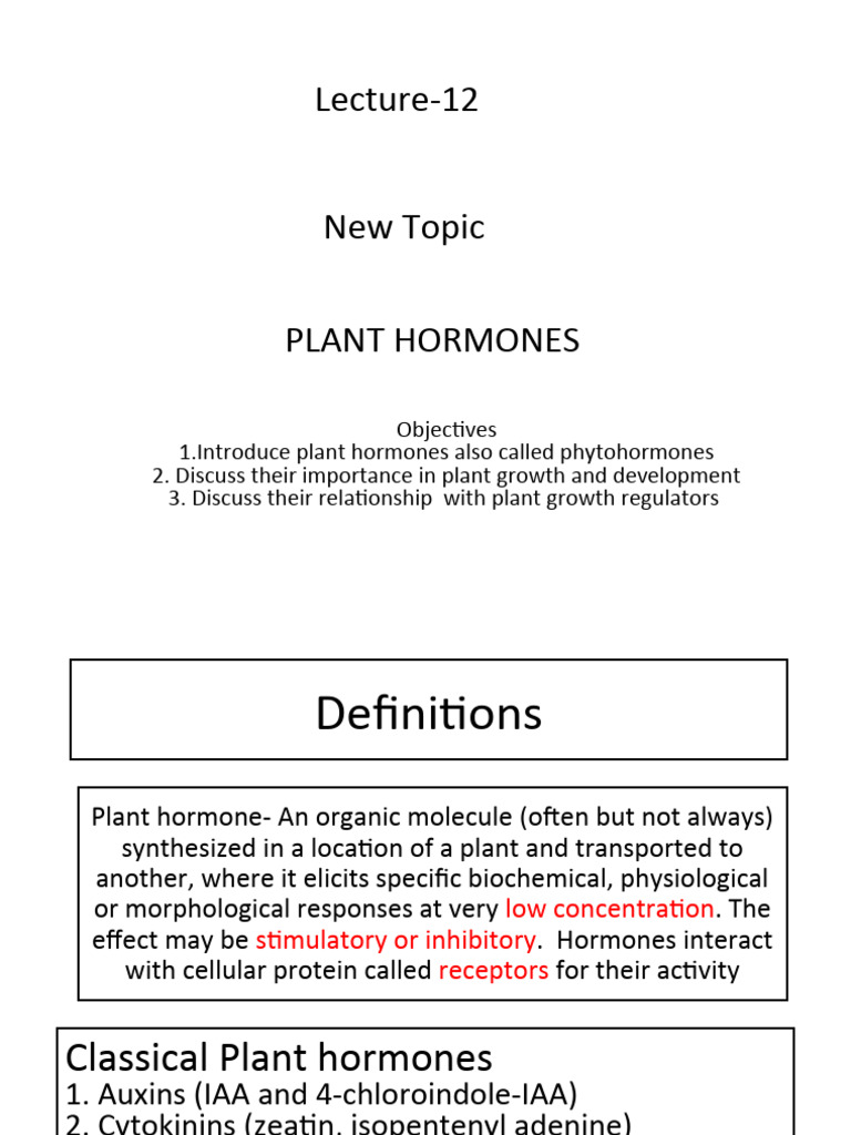 Lecture-9 Growth Hormones | PDF | Plant Hormone | Auxin