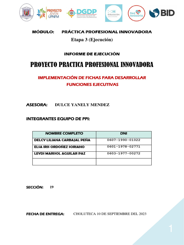 Informe de Ejecución Proyecto Practica Profesional Innovadora etapa 3 PDF | PDF