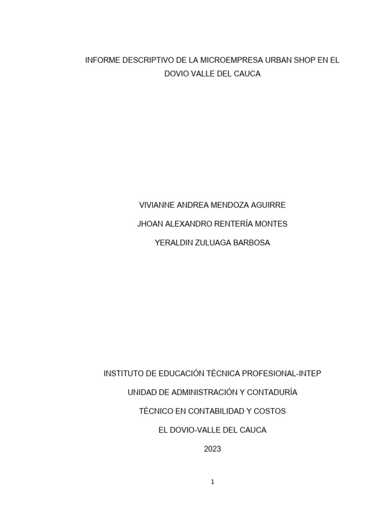 Informe Descriptivo | PDF | Contador | Business