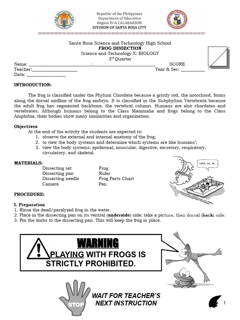Frog Dissection | PDF | Stomach | Thorax
