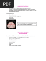 Aportes de Edward Angle en Ortodoncia | PDF | Ortodoncia | Odontología