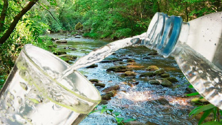 Agua Maria 2021 | PDF