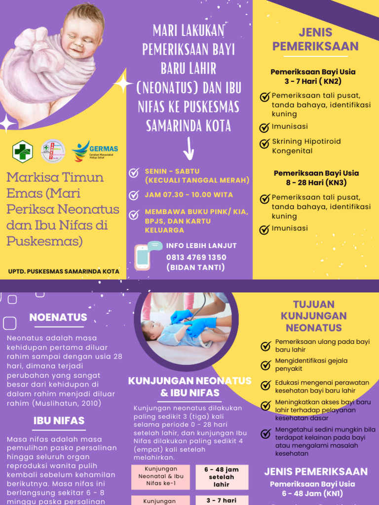 Flayer Neonatus Dan Ibu Nifas | PDF