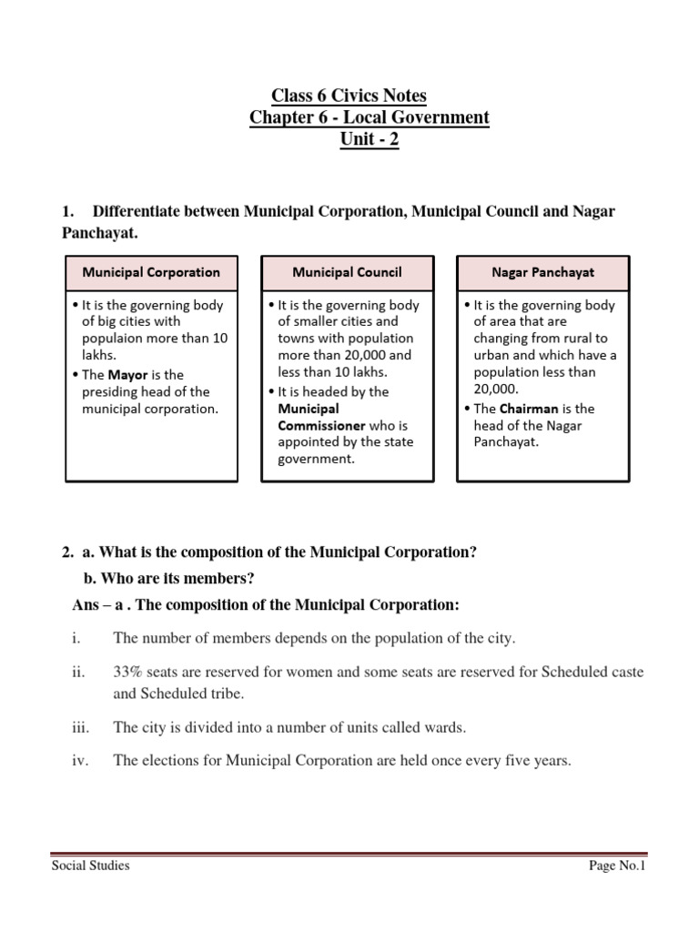 Differences in Local Government Bodies | PDF | Governance | Government