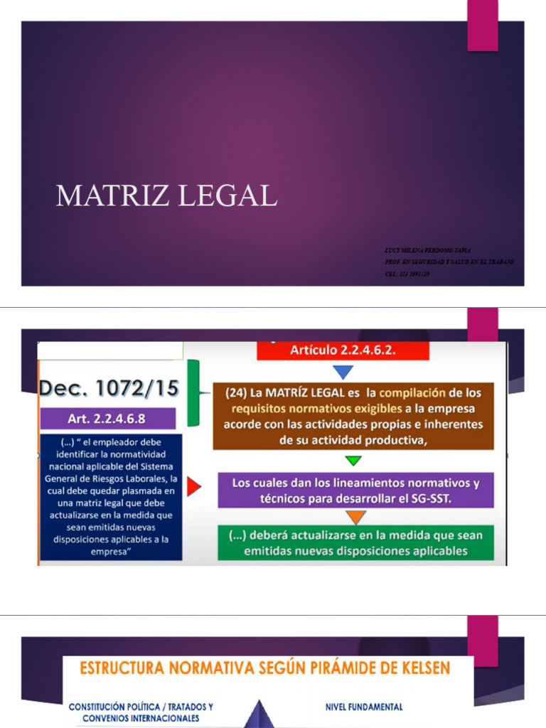 Diapositivas Matriz Legal | PDF